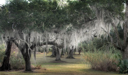 The Structural Landscape | Anice Hoachlander Fine Art Photography