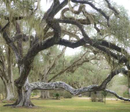 The Structural Landscape | Anice Hoachlander Fine Art Photography