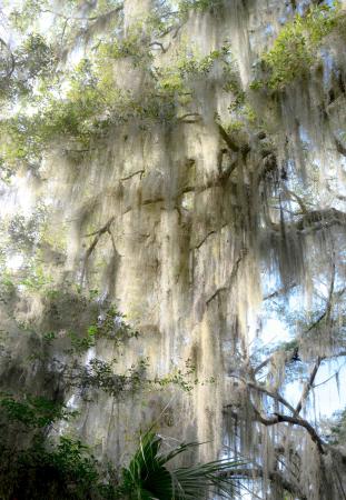 The Structural Landscape | Anice Hoachlander Fine Art Photography